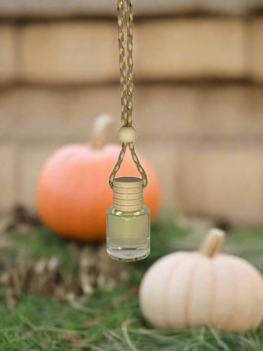 Pumpkin Spice Car Diffuser – Velvet Mood